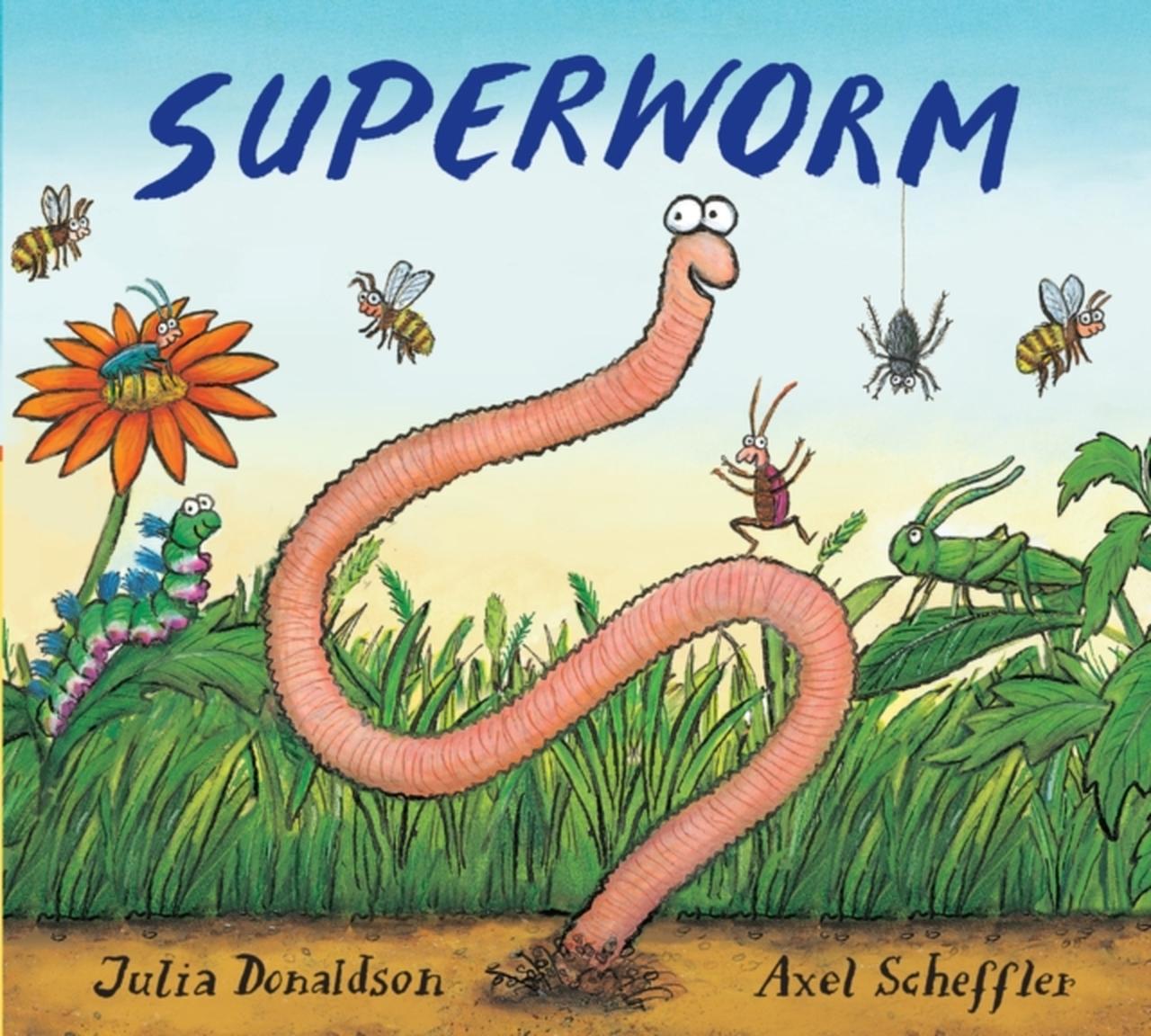 Superworm B/B / Julia Donaldson & Axel Scheffler in Tipperary ...