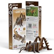 Eugy Giant Weta 3D Model Craft Kit in Wicklow | GetLocal Ireland