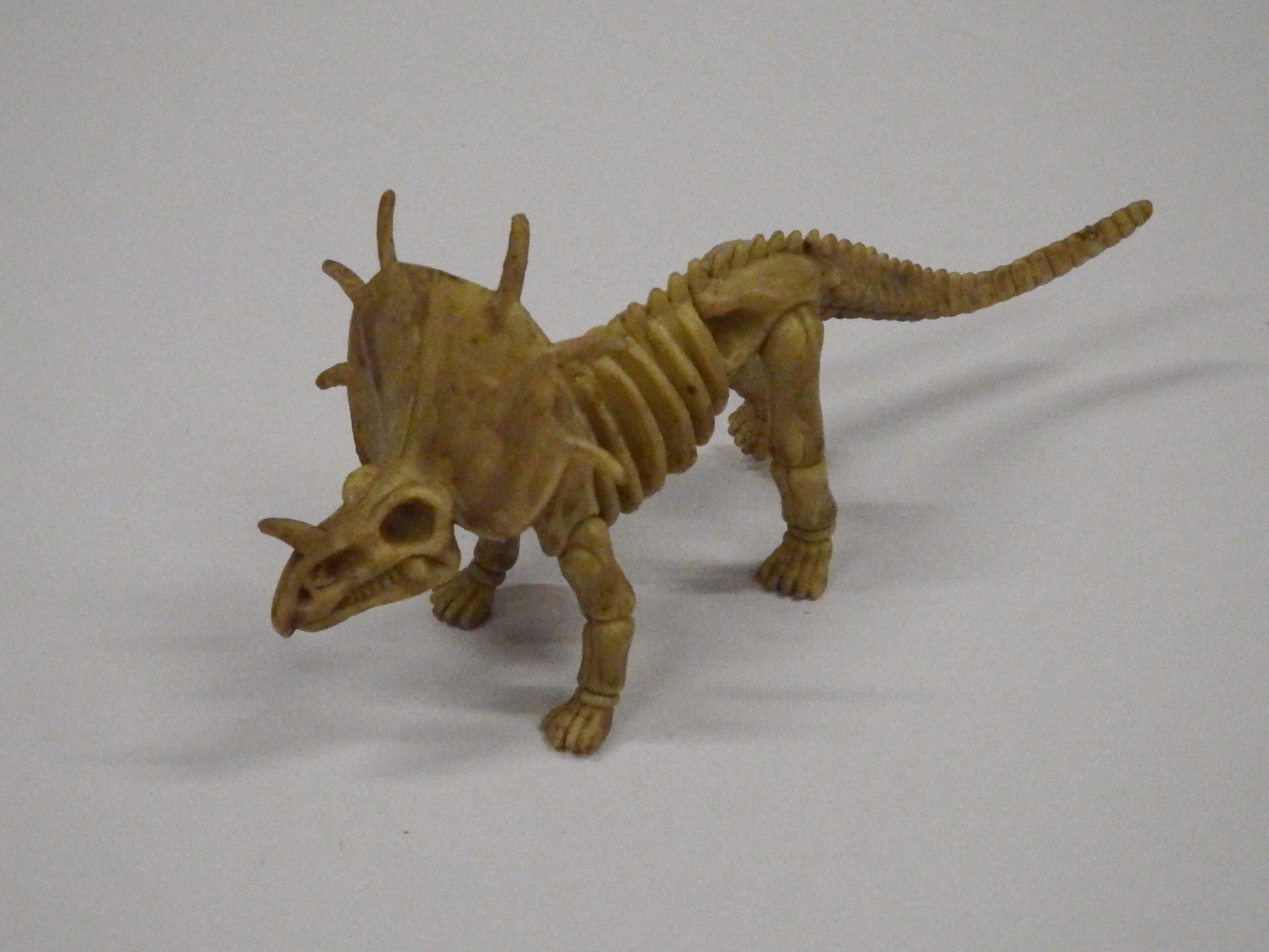 Styracosaurus skeleton model (14L x 7H cm) in Wexford | GetLocal Ireland