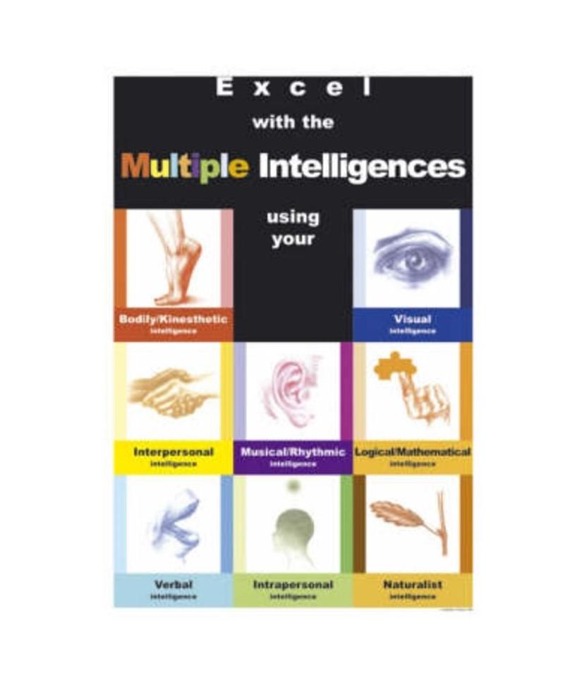 Excel with the Multiple Intelligences Poster Set in Kildare | GetLocal ...
